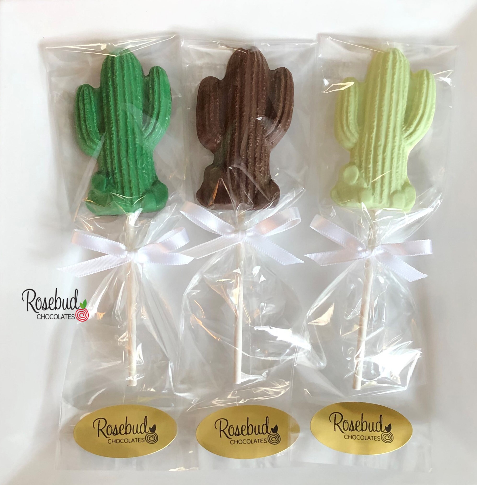 12 CACTUS Chocolate Lollipop Candy Party favorece la boda de - Etsy México