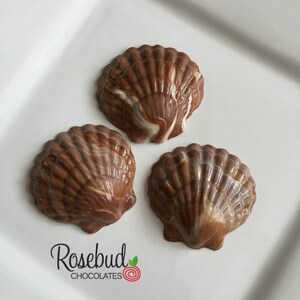 12 SEASHELL Chocolate Favors Beach Nautical Luau Wedding Birthday Party ...