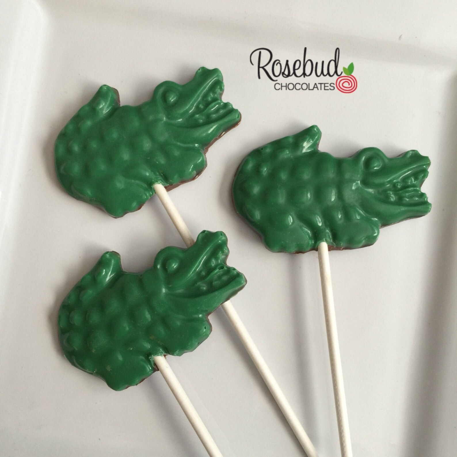 12 ALLIGATOR CROCODILE Milk Chocolate Lollipops Birthday Party | Etsy