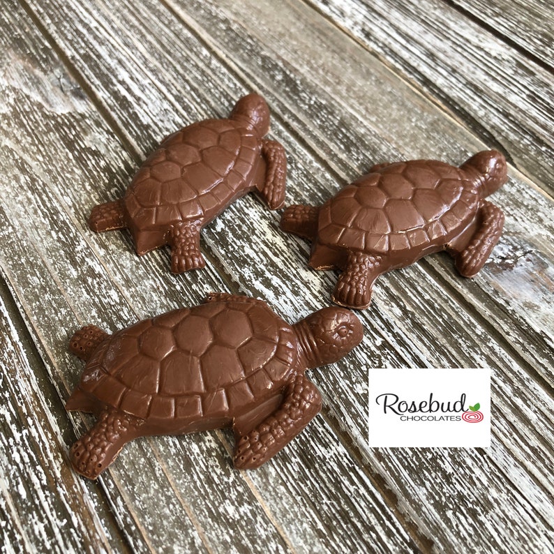 12 SEA TURTLE Chocolate Candy Favors Beach Ocean Nautical | Etsy