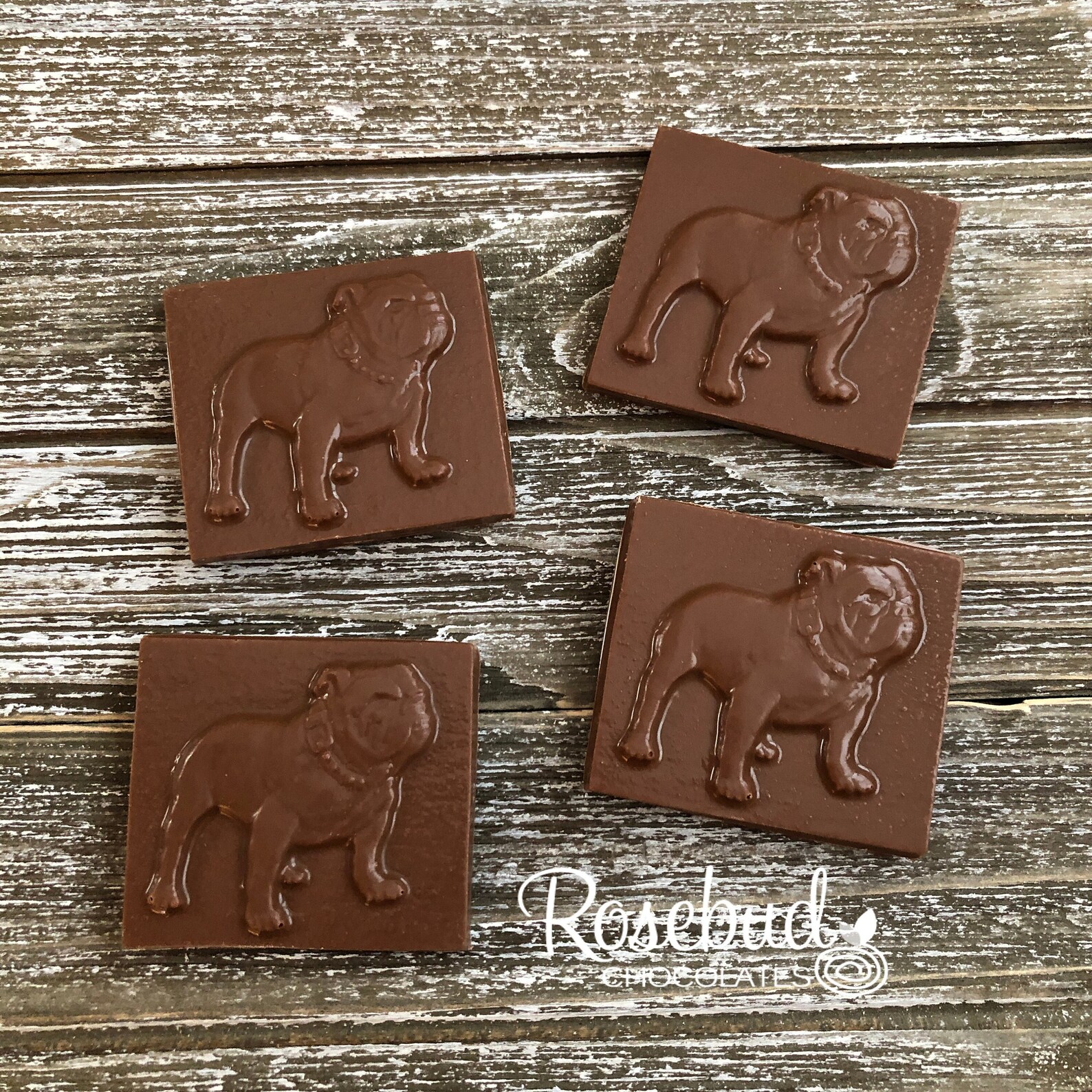 12 BULLDOG Chocolate Solid Square Favors Animals Birthday - Etsy