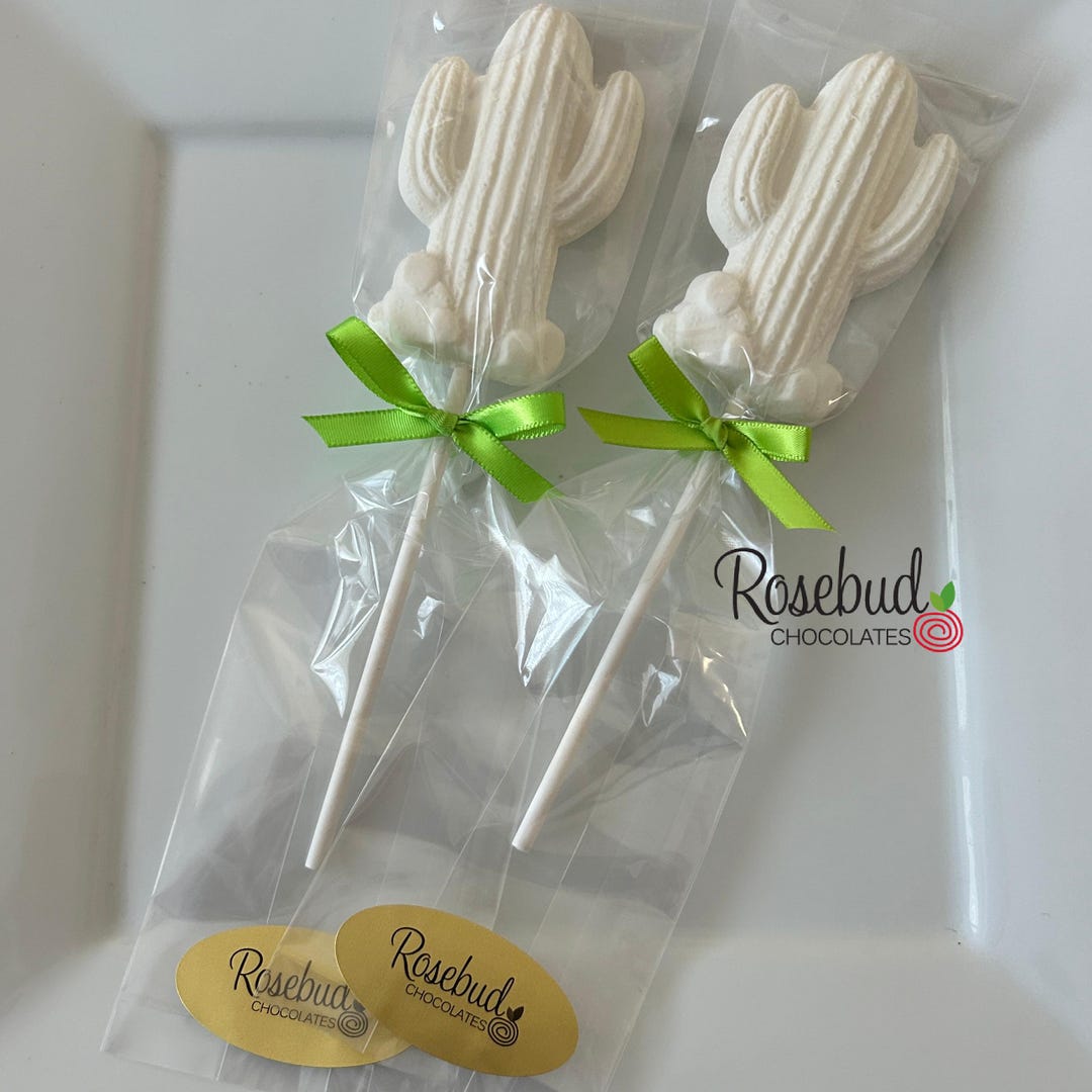 Cactus Chocolate Lollipops: Party Favors, Baby Shower, Wedding (12 ...