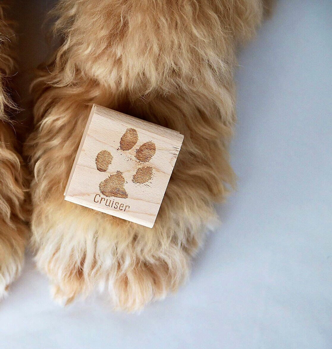 Pet Paw Print Stamp Custom Paw Stamp Pet Christmas Rubber | Etsy Pet Paw Print Stamp Custom Paw Stamp Pet Christmas Rubber | Etsy