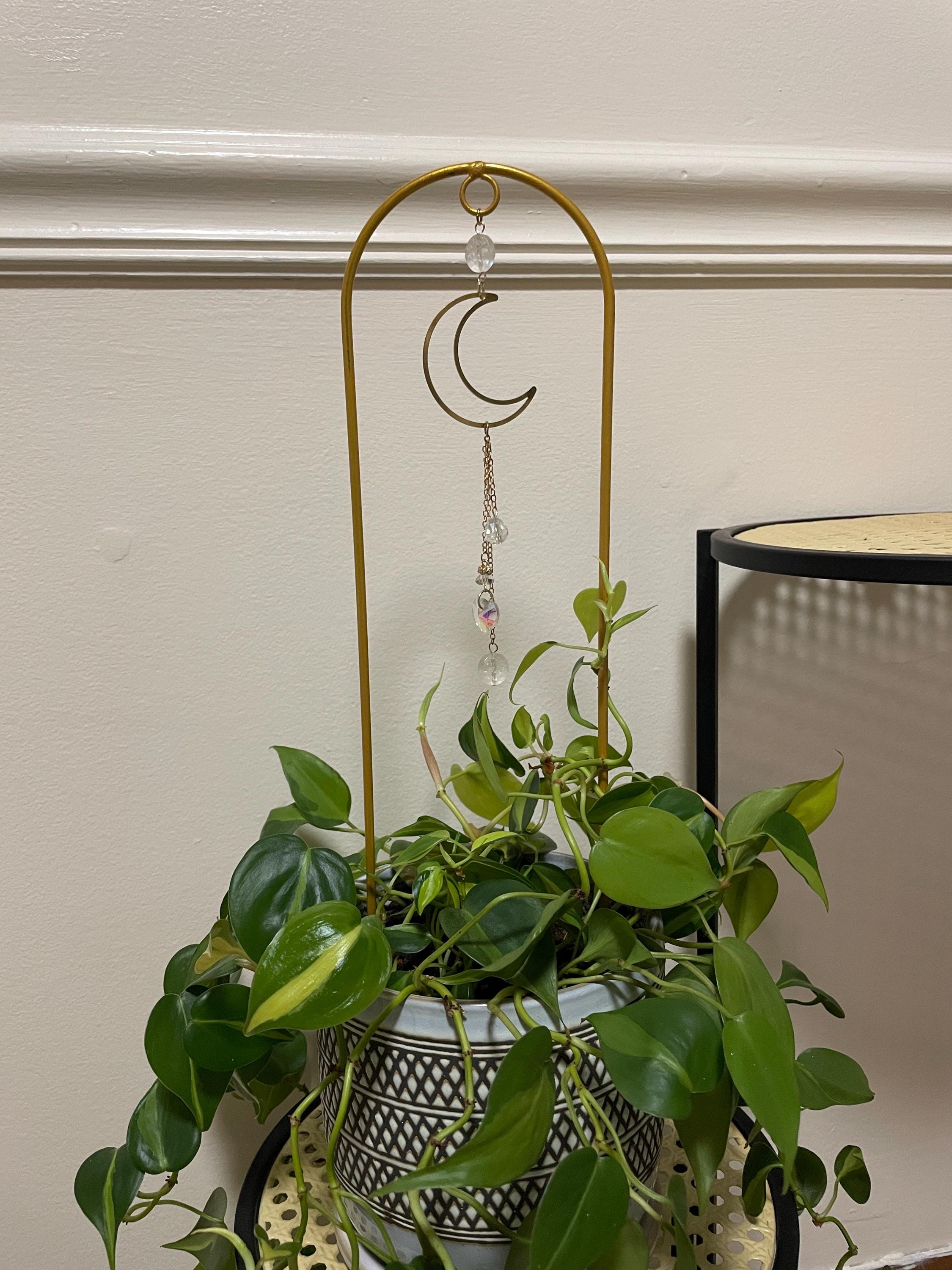 Decorative Crescent Moon Charmed Plant Trellis - Etsy