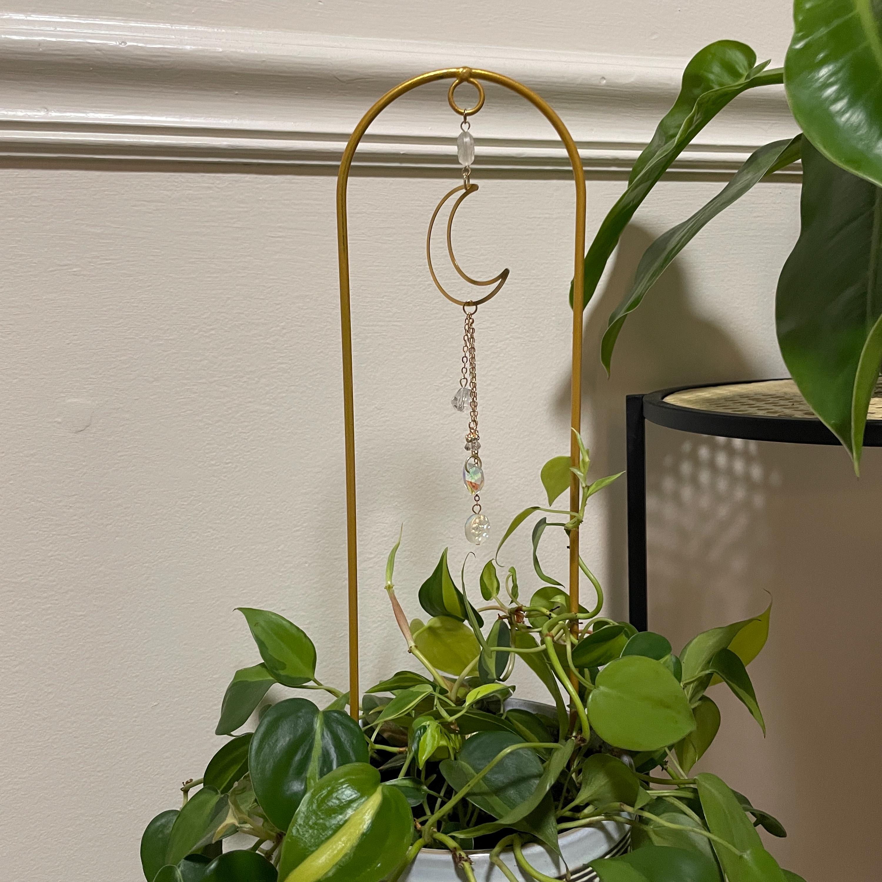 Decorative Crescent Moon Charmed Plant Trellis - Etsy
