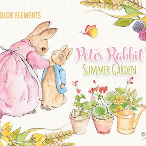 Peter Rabbit, Summer Garden, PNG File, Watercolor Clipart, Peter Rabbit ...