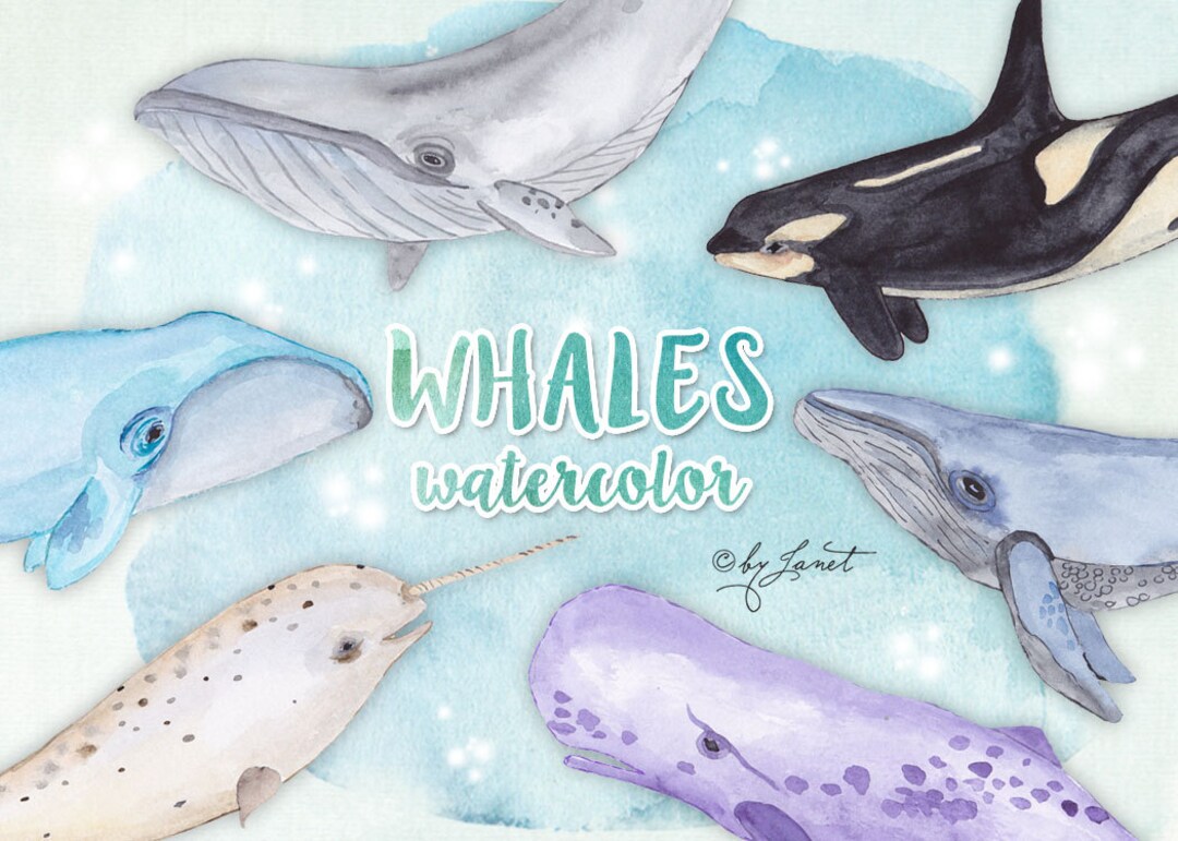 Whales Watercolor Clipart, PNG File, Artwork, Whales Illustration ...