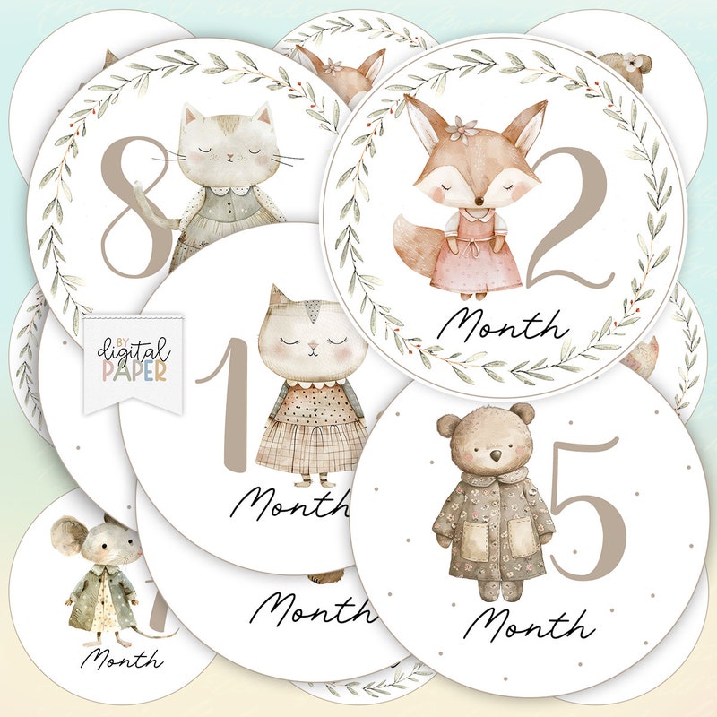 Baby Boy Month Stickers - Etsy