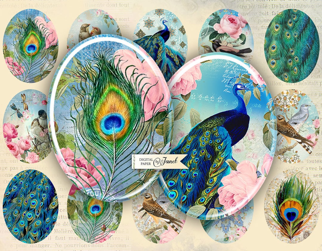 Pavone Reale - Immagine Ovale - 30 X 40 Mm - Foglio Collage Digitale ...