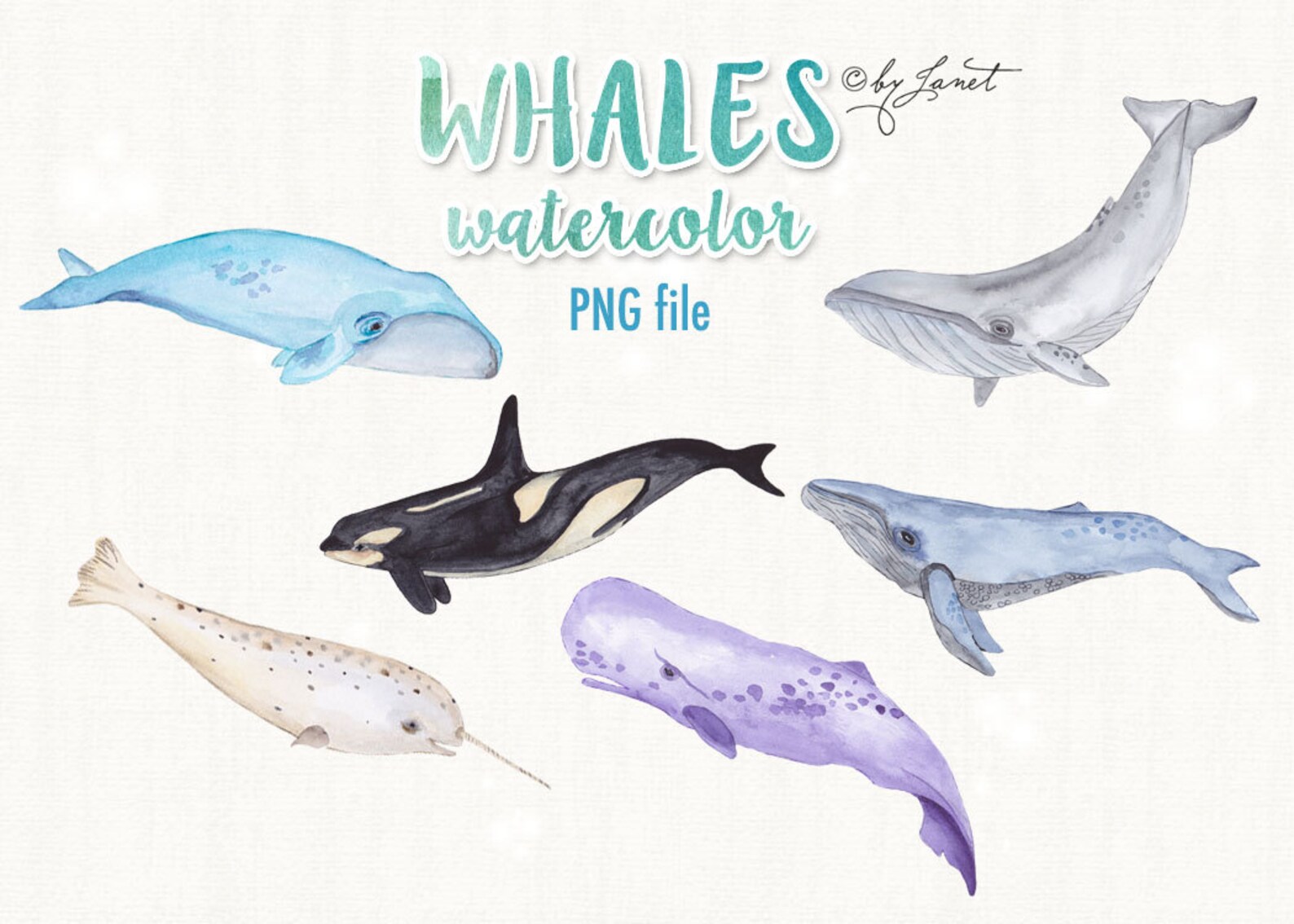 Whales Watercolor Clipart, PNG File, Artwork, Whales Illustration ...