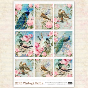 BIRD Vintage Cards - Digital Collage Sheet - Set of 6 - Printable ...