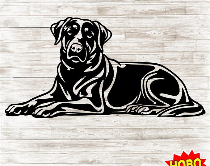 Labrador Retriever Heartbeat Svg, Yellow Lab Svg, Black Lab Svg ...