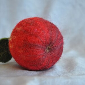 Real Size Needle Felted Apple/kitchen Decoration : Red Apple. Made to ...