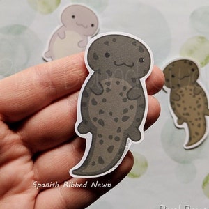 Spanish Ribbed Newt Stickers and Magnets - Etsy