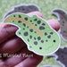 Marbled & Crested Newt Stickers and Magnets | Customizable Colors - Etsy