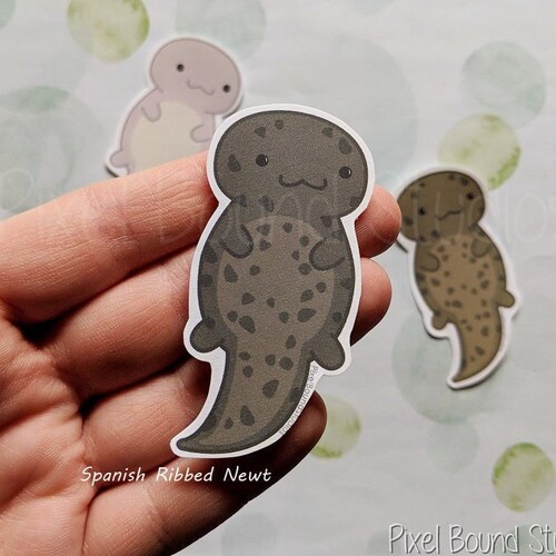 Spanish Ribbed Newt Stickers and Magnets - Etsy