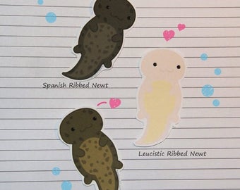 Crocodile/Knobby Newt Stickers and Magnets | Etsy