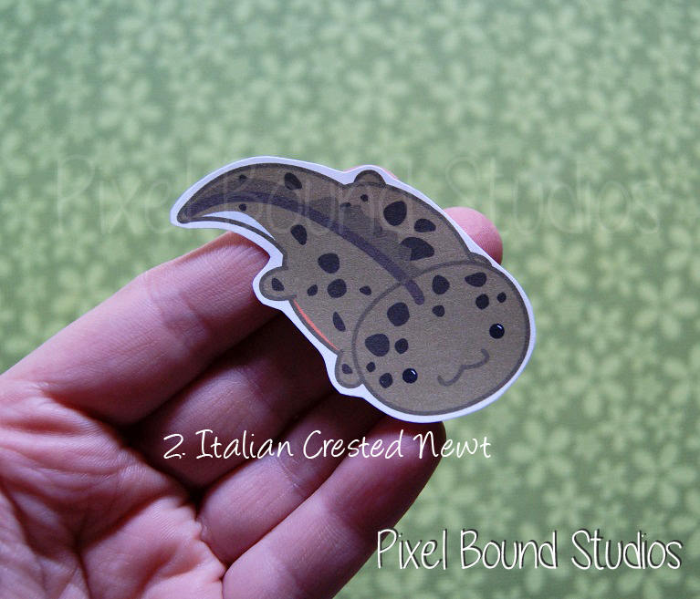 Marbled & Crested Newt Stickers and Magnets | Customizable Colors - Etsy