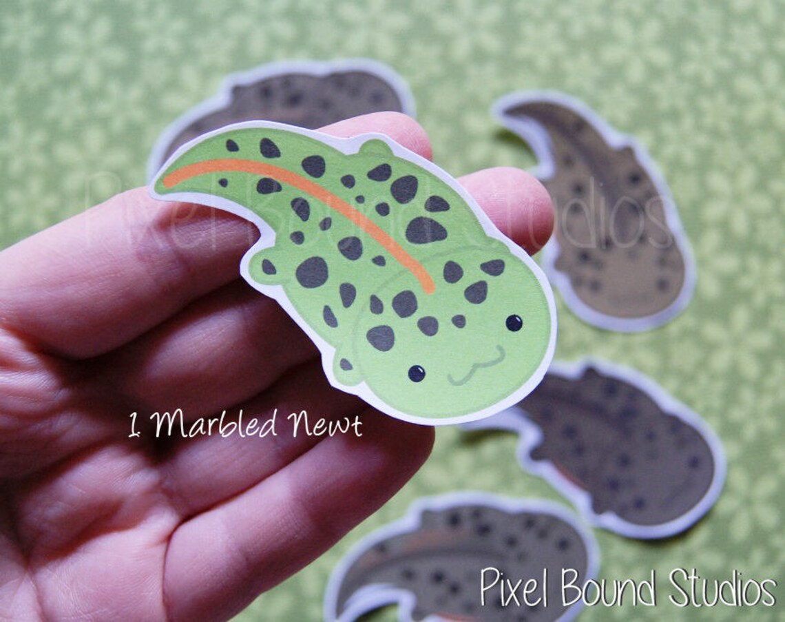 Marbled and Crested Newt Stickers and Magnets | Etsy
