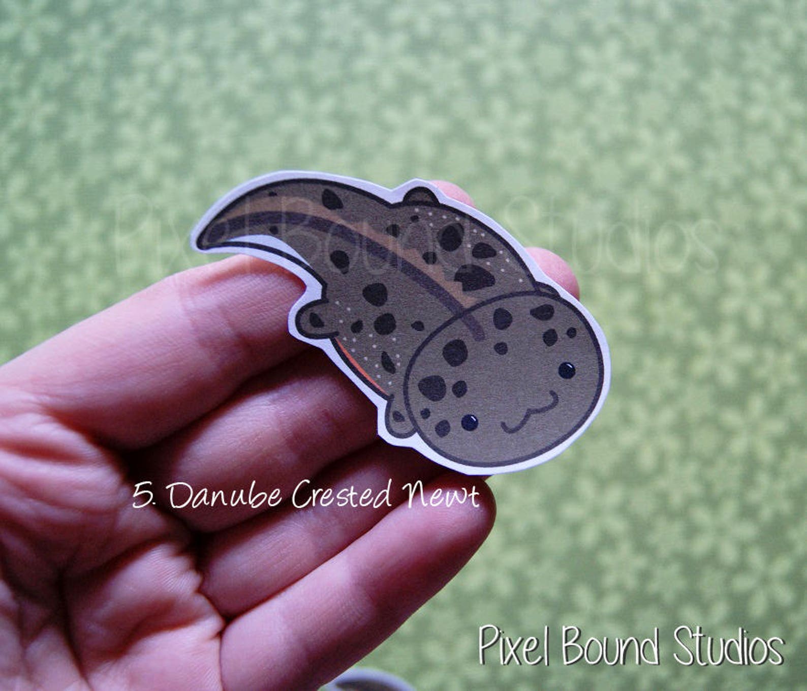 Marbled and Crested Newt Stickers and Magnets | Etsy
