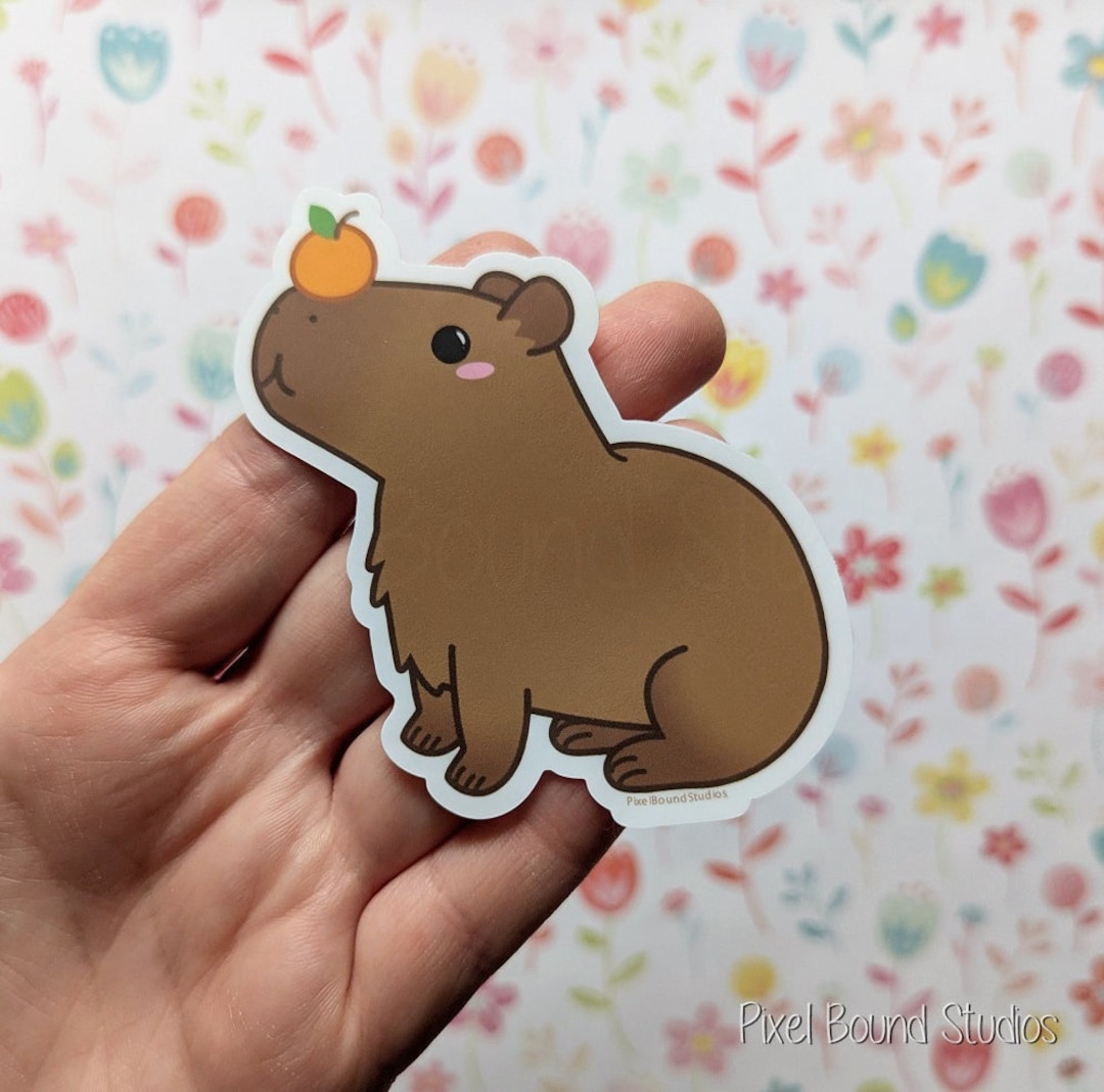 Cute Chibi Capybara Vinyl Sticker - Etsy