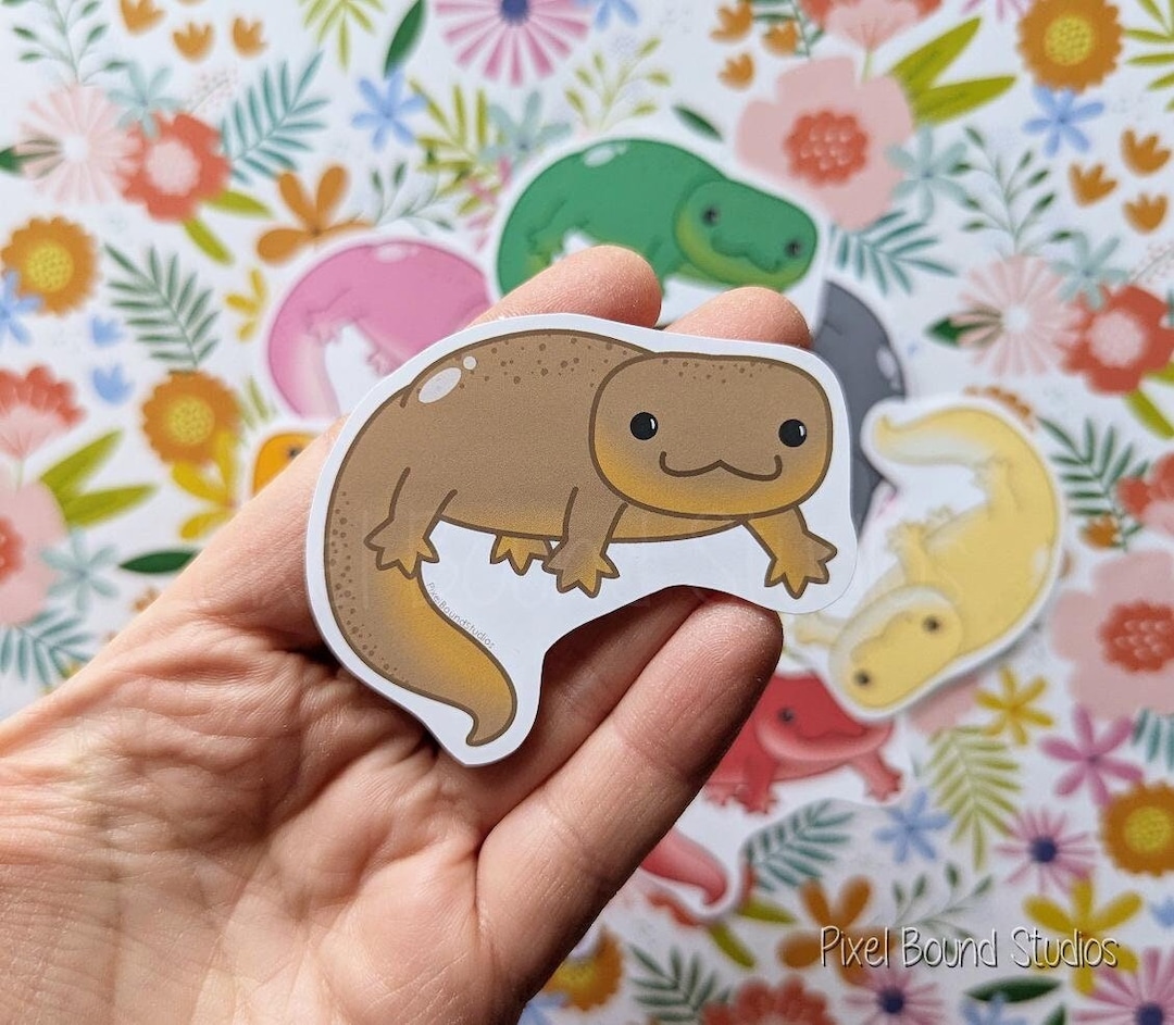 Chibi Rough Skinned Newt Stickers and Magnets - Etsy