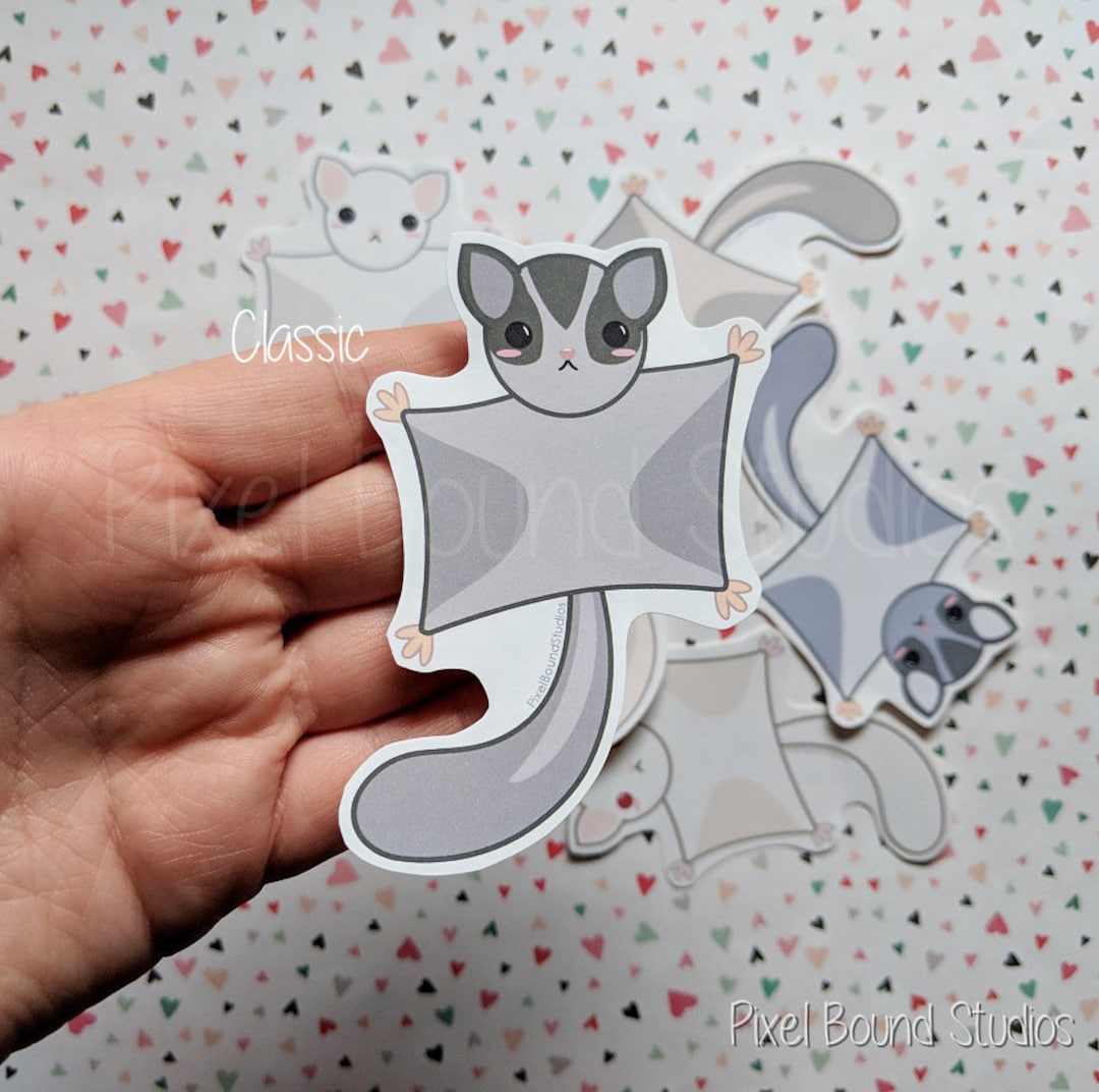 Cute Kawaii Sugar Glider Stickers and Magnets - Etsy