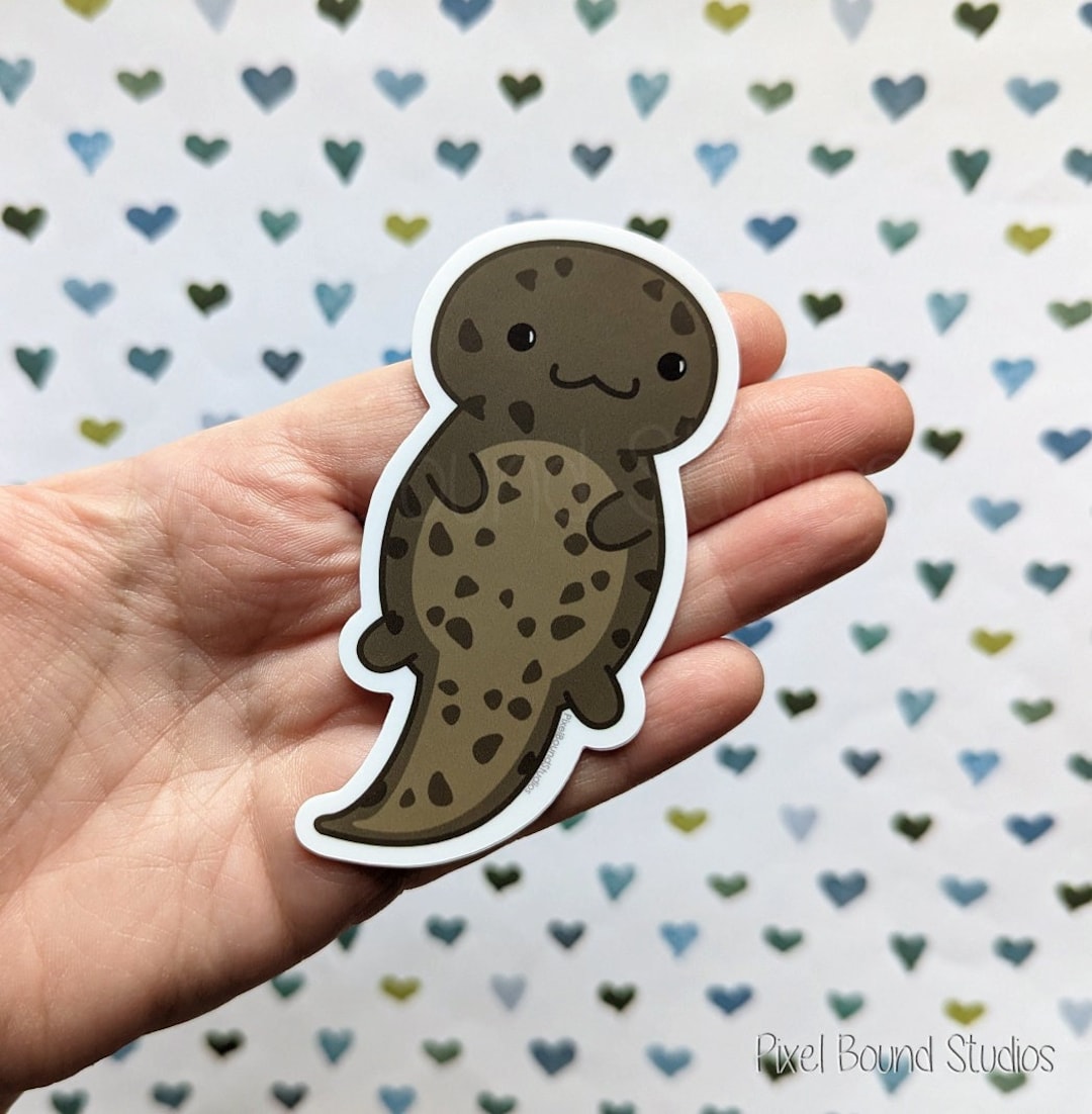 Spanish Ribbed Newt Vinyl Sticker - Waterproof - Etsy