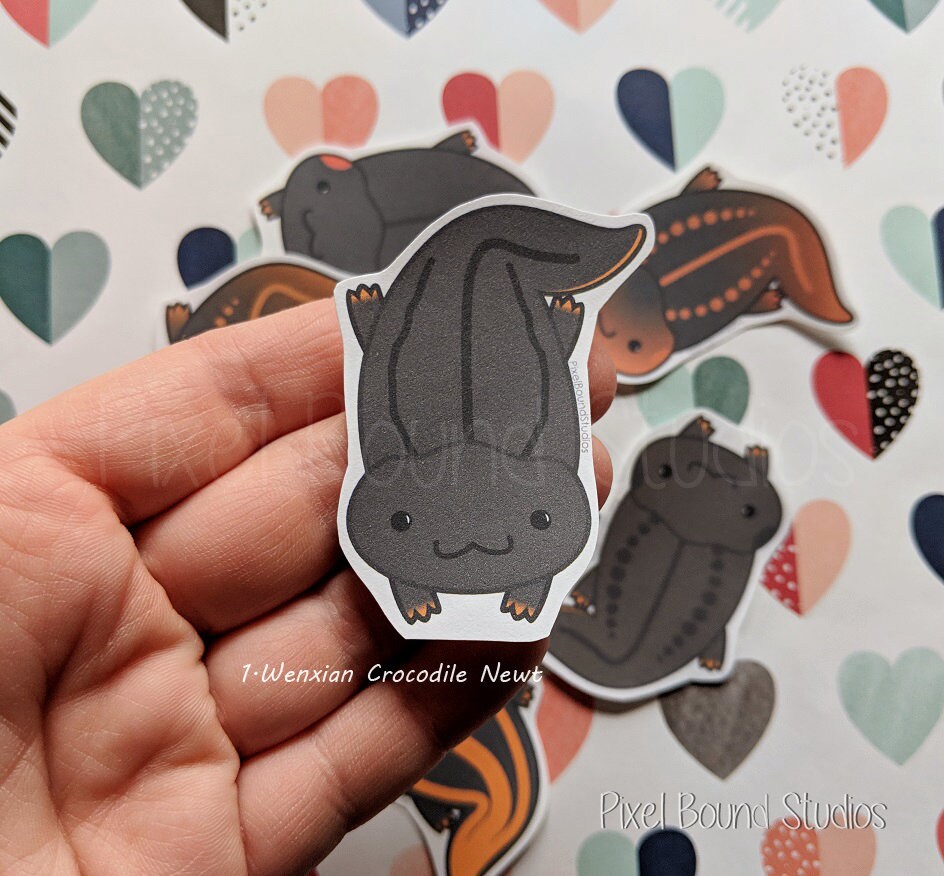 Crocodile/knobby Newt Stickers and Magnets | Customizable Colors - Etsy