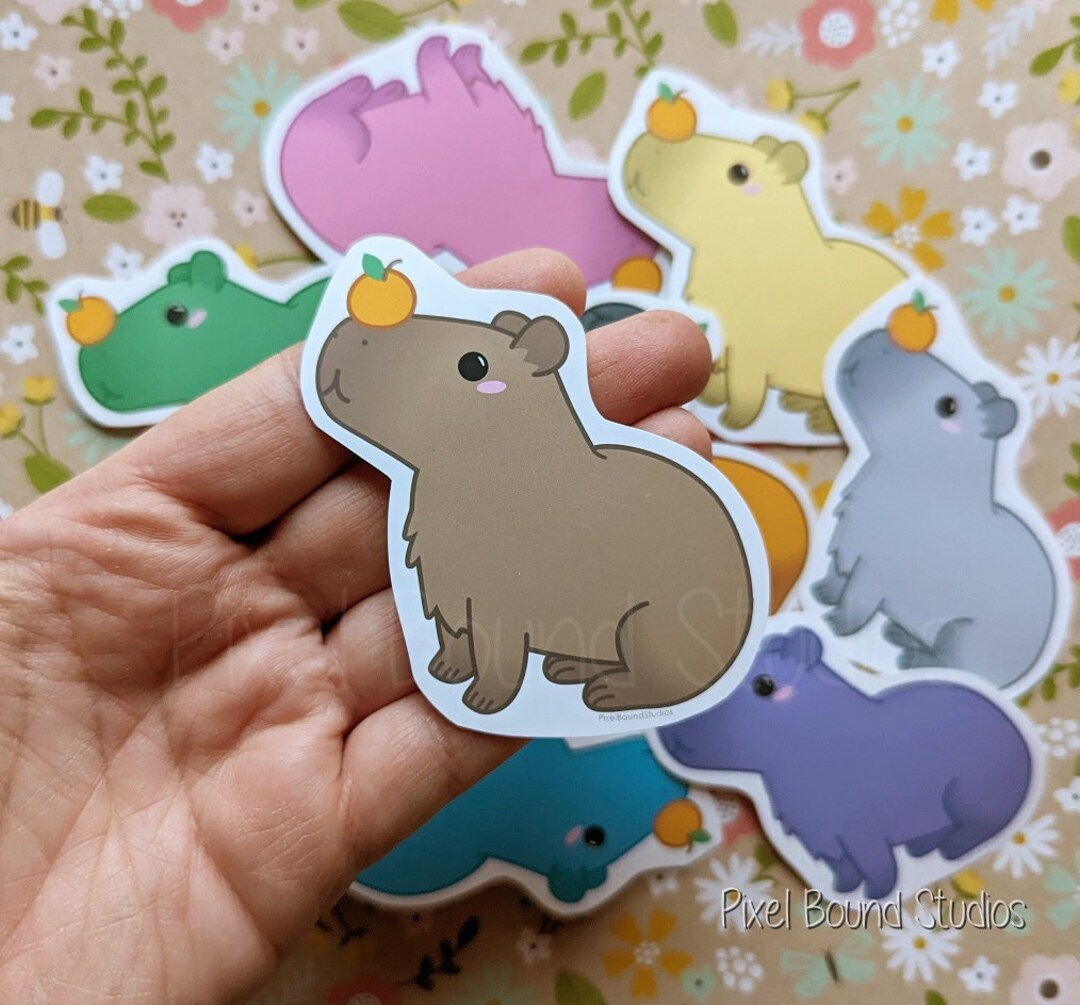 Chibi Cute Capybara Stickers and Magnets - Etsy