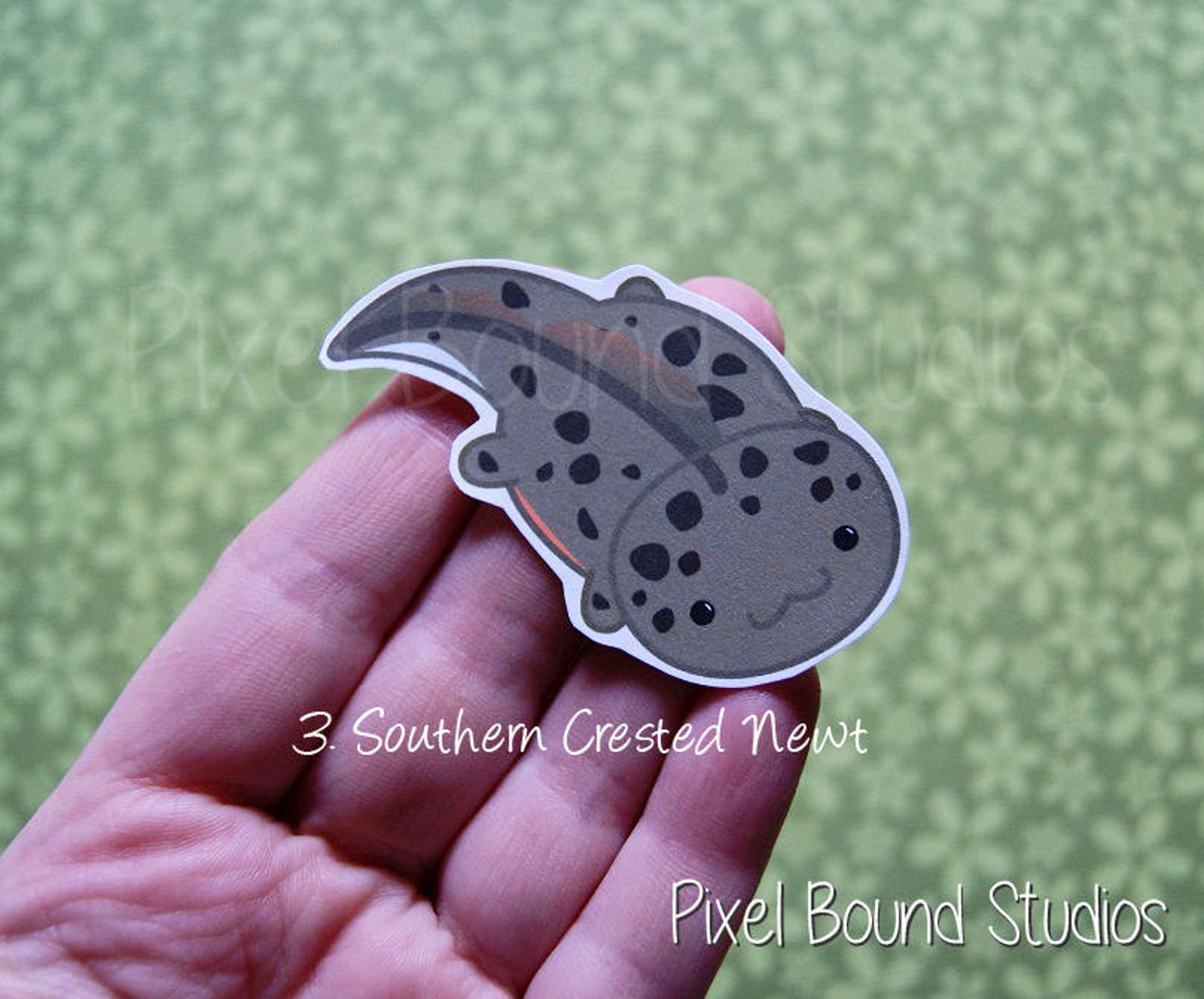 Marbled and Crested Newt Stickers and Magnets | Etsy