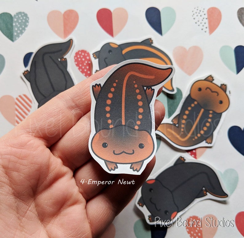 Crocodile/knobby Newt Stickers and Magnets | Customizable Colors - Etsy