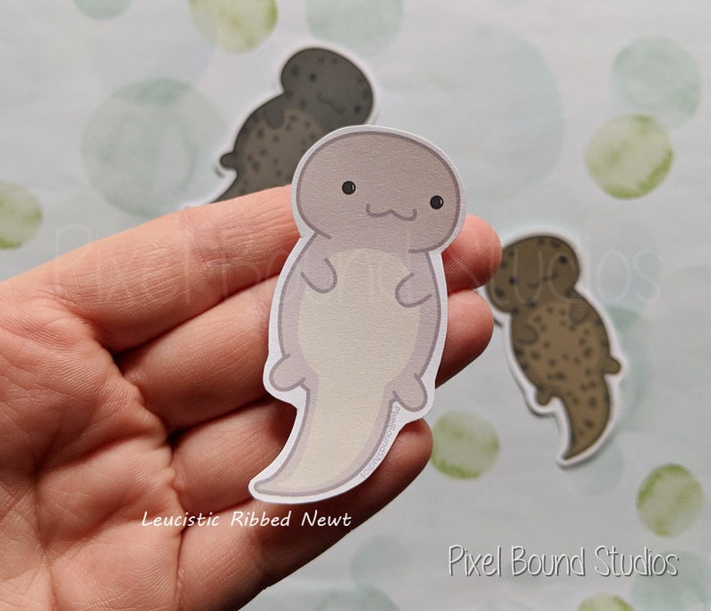 Spanish Ribbed Newt Stickers and Magnets | Customizable Colors - Etsy