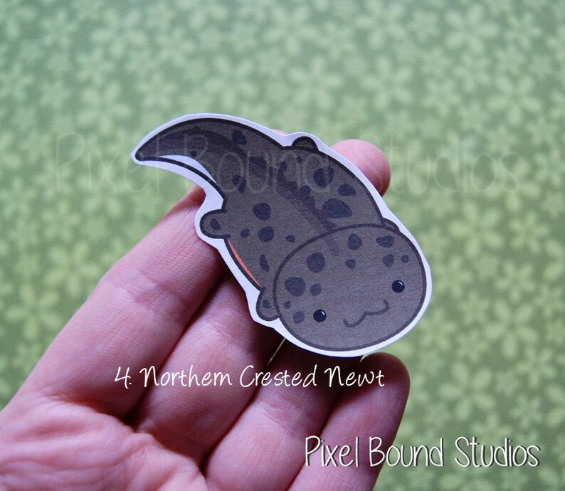 Marbled & Crested Newt Stickers and Magnets | Customizable Colors - Etsy