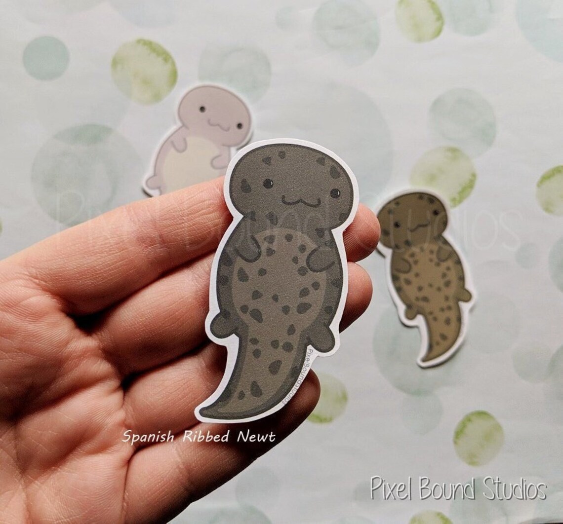 Spanish Ribbed Newt Stickers and Magnets | Customizable Colors - Etsy