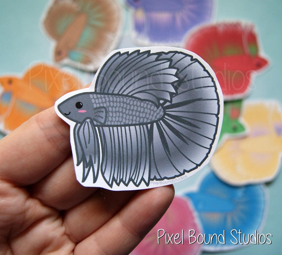 Chibi Halfmoon Betta Stickers and Magnets - Etsy