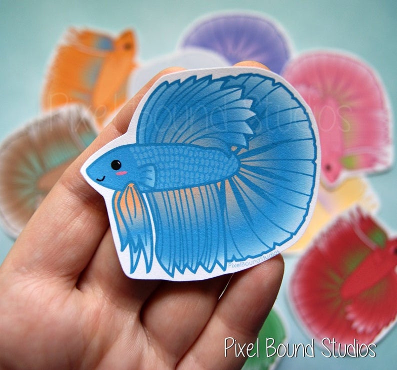 Chibi Halfmoon Betta Stickers and Magnets | Etsy