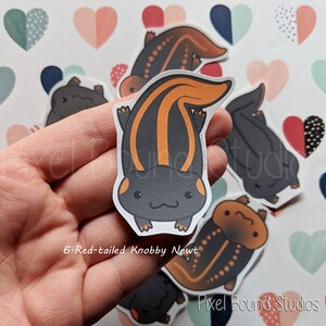 Crocodile/knobby Newt Stickers and Magnets | Customizable Colors - Etsy