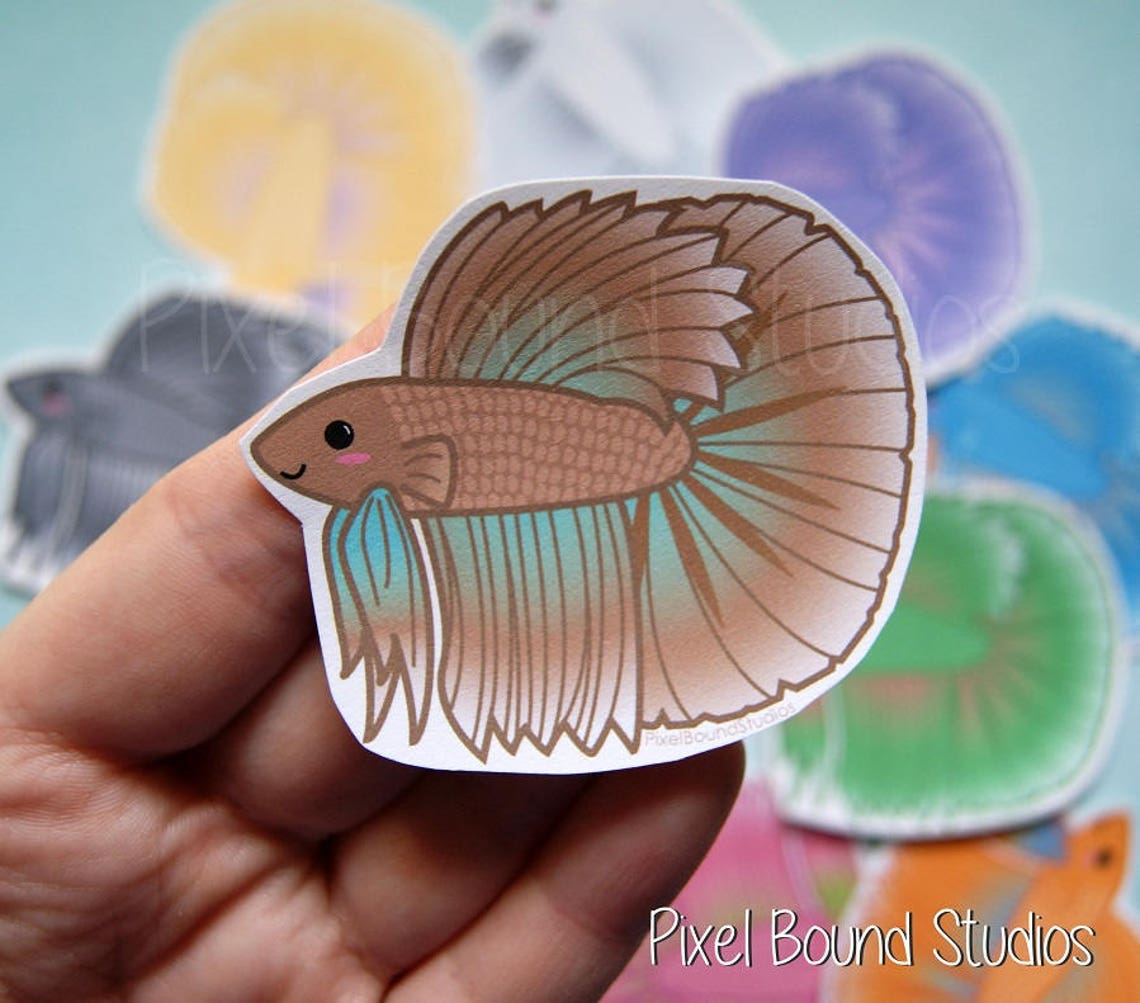 Chibi Halfmoon Betta Stickers and Magnets - Etsy