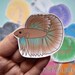 Chibi Halfmoon Betta Stickers and Magnets - Etsy