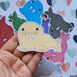 Chibi Walrus Stickers and Magnets - Etsy