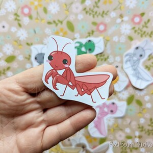 Chibi Cute Chinese Praying Mantis Stickers and Magnets - Etsy Australia