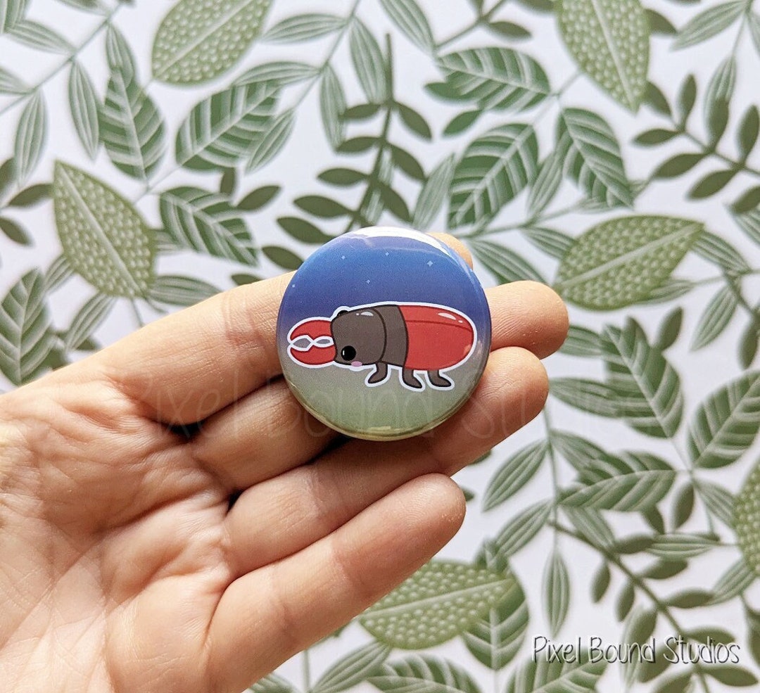 Chibi Cute Stag Beetle Insect Art 1.5 Inch Button - Etsy UK