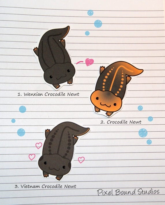 Crocodile/Knobby Newt Stickers and Magnets | Etsy