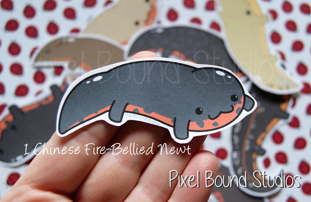 Fire-bellied Newt Stickers and Magnets | Customizable Colors - Etsy