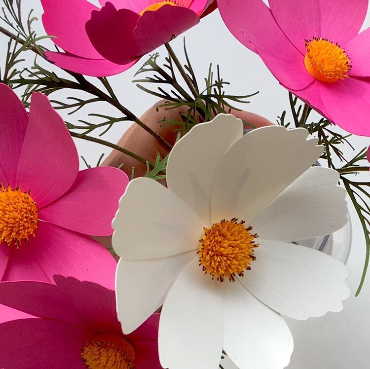 Cosmos 3D Paper Flower Template & Tutorial, SVG Template for Cricut and ...