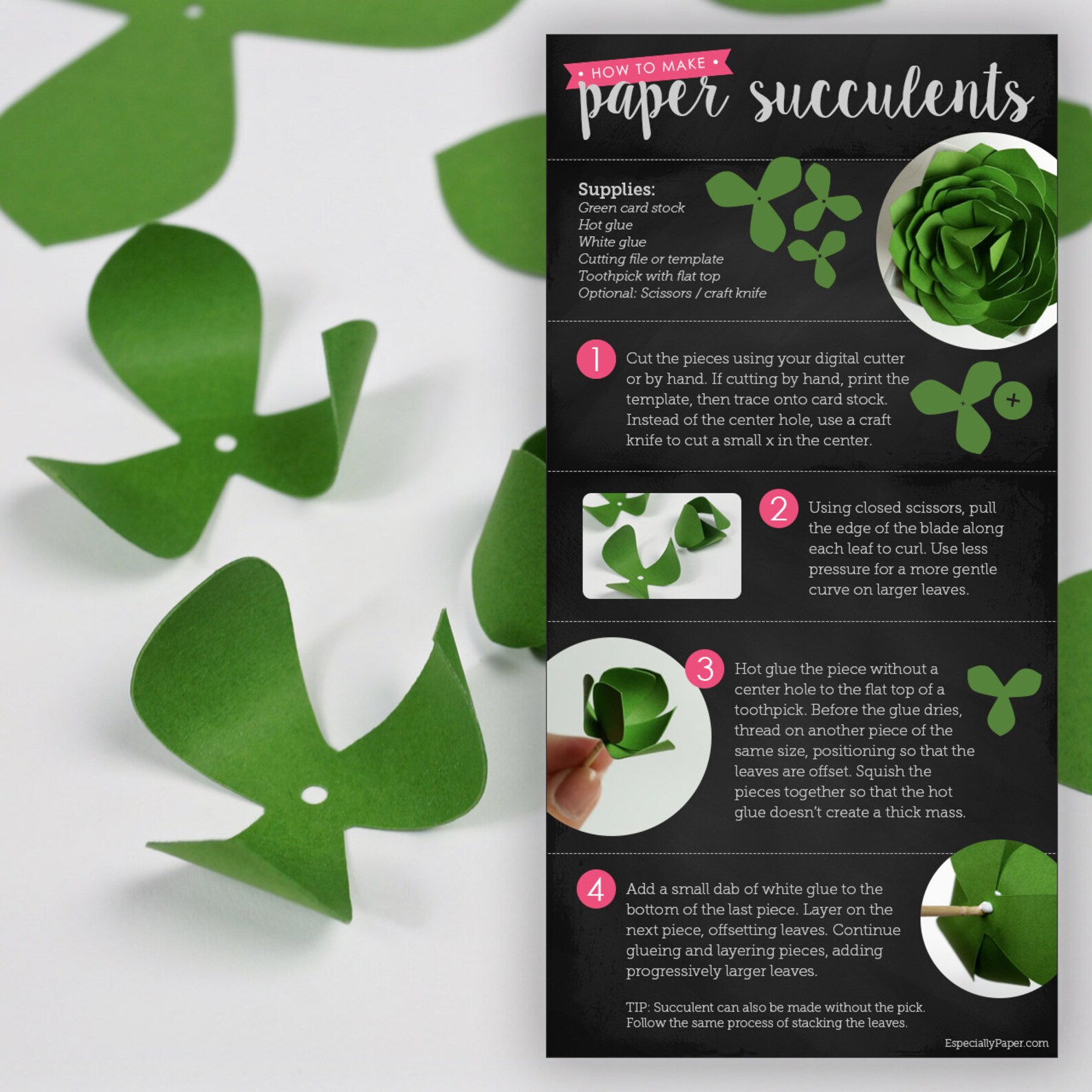 Paper Succulent Template for Cricut Silhouette and Hand - Etsy