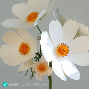 Cosmos 3D Paper Flower Template & Tutorial, SVG Template for Cricut and ...