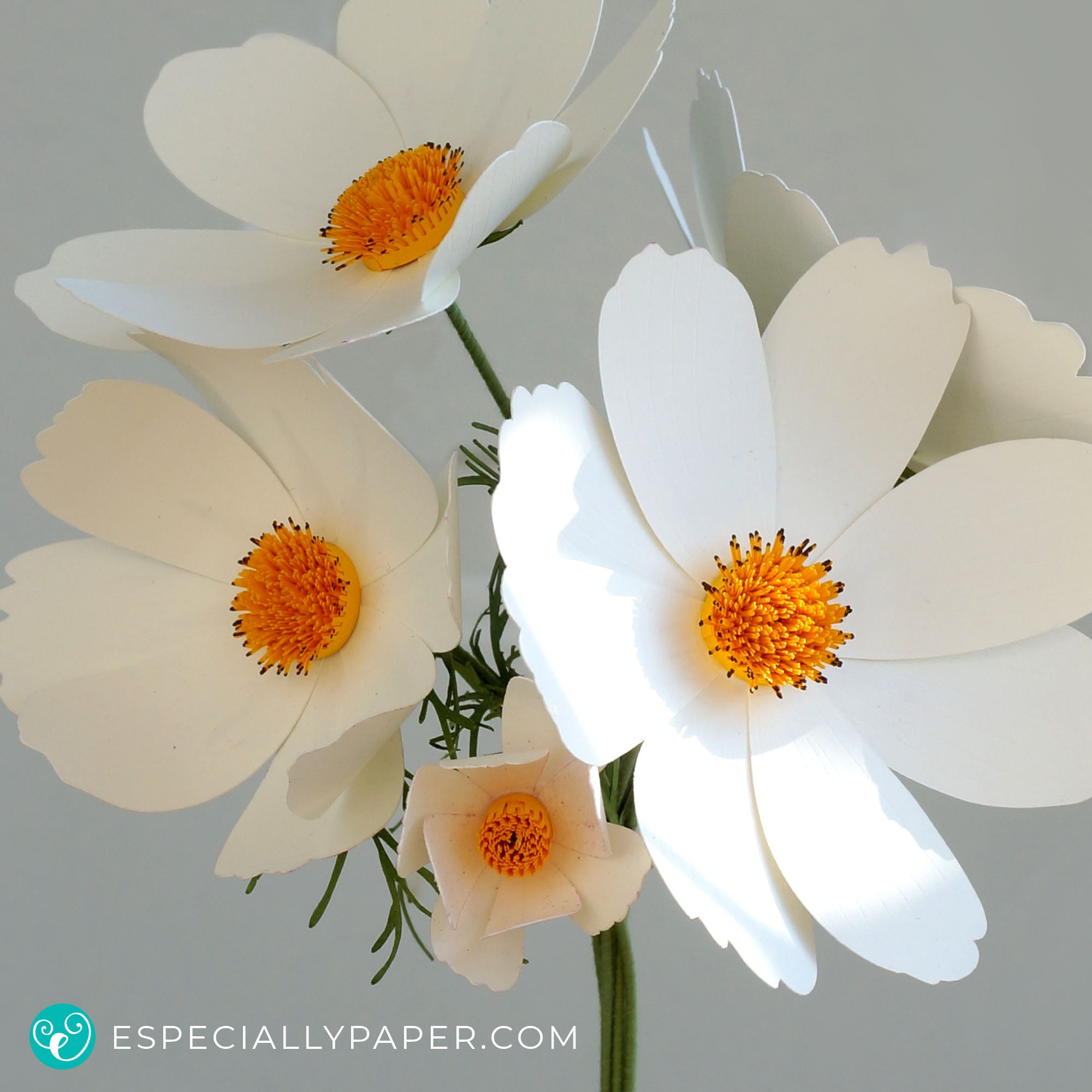 Cosmos 3D Paper Flower Template & Tutorial SVG Template for - Etsy