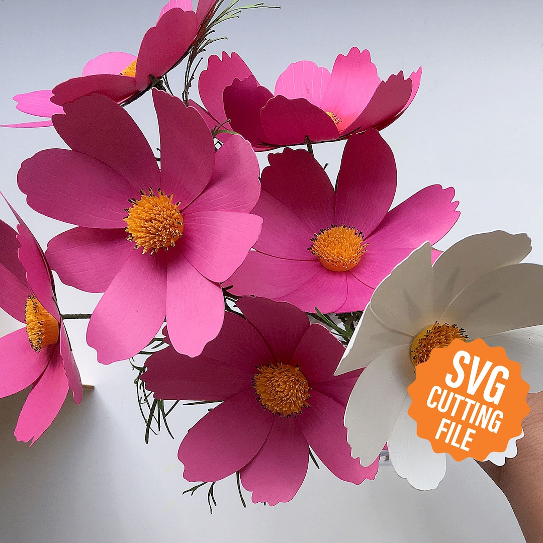 Cosmos 3D Paper Flower Template & Tutorial, SVG Template for Cricut and ...